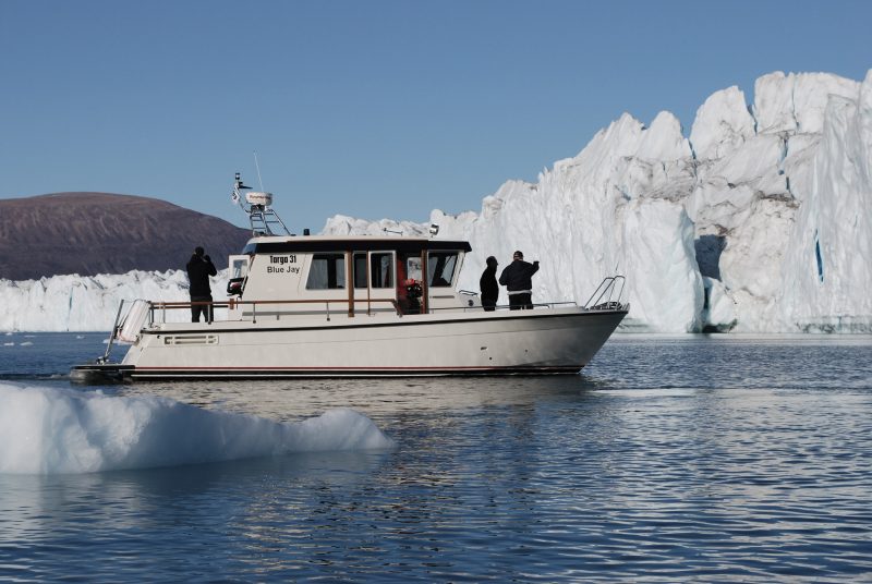 Targa | Professional